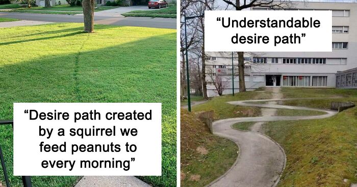 30 Times People Ignored The Designated Paths In The Name Of Convenience ...