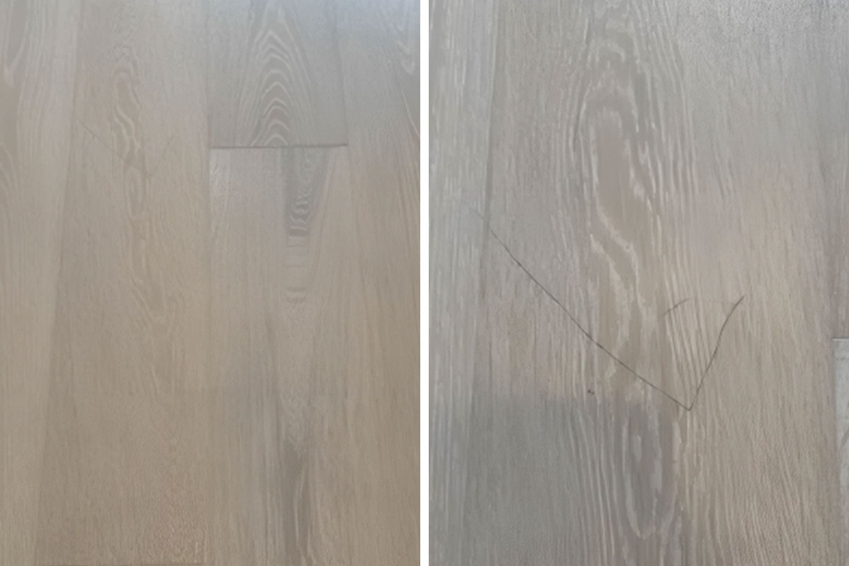 “We Didn’t Agree With Paying $1,000”: Landlord Demands Compensation For ...