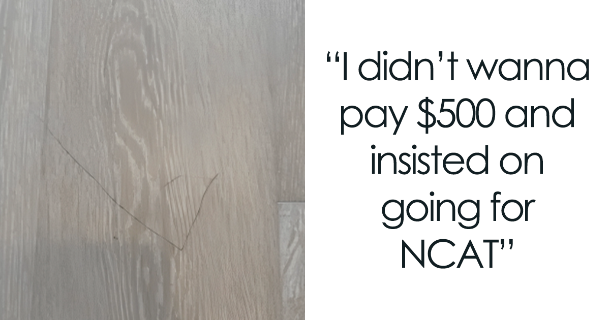 “We Didn’t Agree With Paying $1,000”: Landlord Demands Compensation For ...