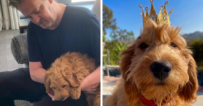 Lisa Kudrow “Wants To Adopt Matthew Perry’s Dog” As She Shares Sad ...