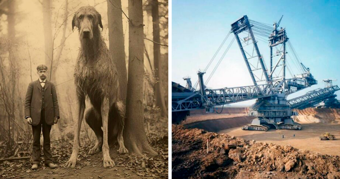 ‘Megalophobia’: 35 Unsettling Images Of Incredibly Large Things (New ...