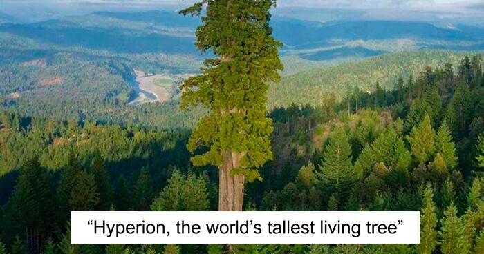 ‘Megalophobia’: 35 Unsettling Images Of Incredibly Large Things (New ...
