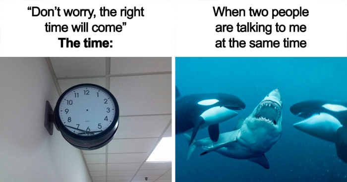 50 Spot-On Introvert Memes Shared By This Popular Instagram Account ...