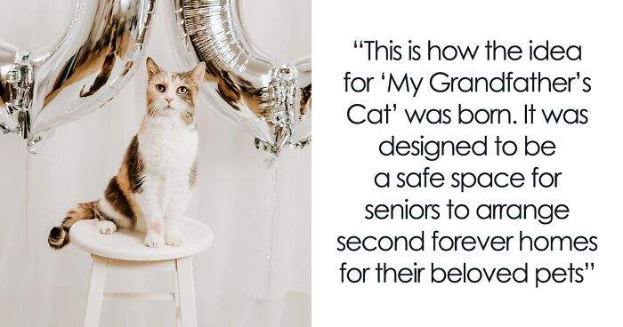Angela Rafuse Is A Founder Of ‘My Grandfather’s Cat Charity’, Helping ...