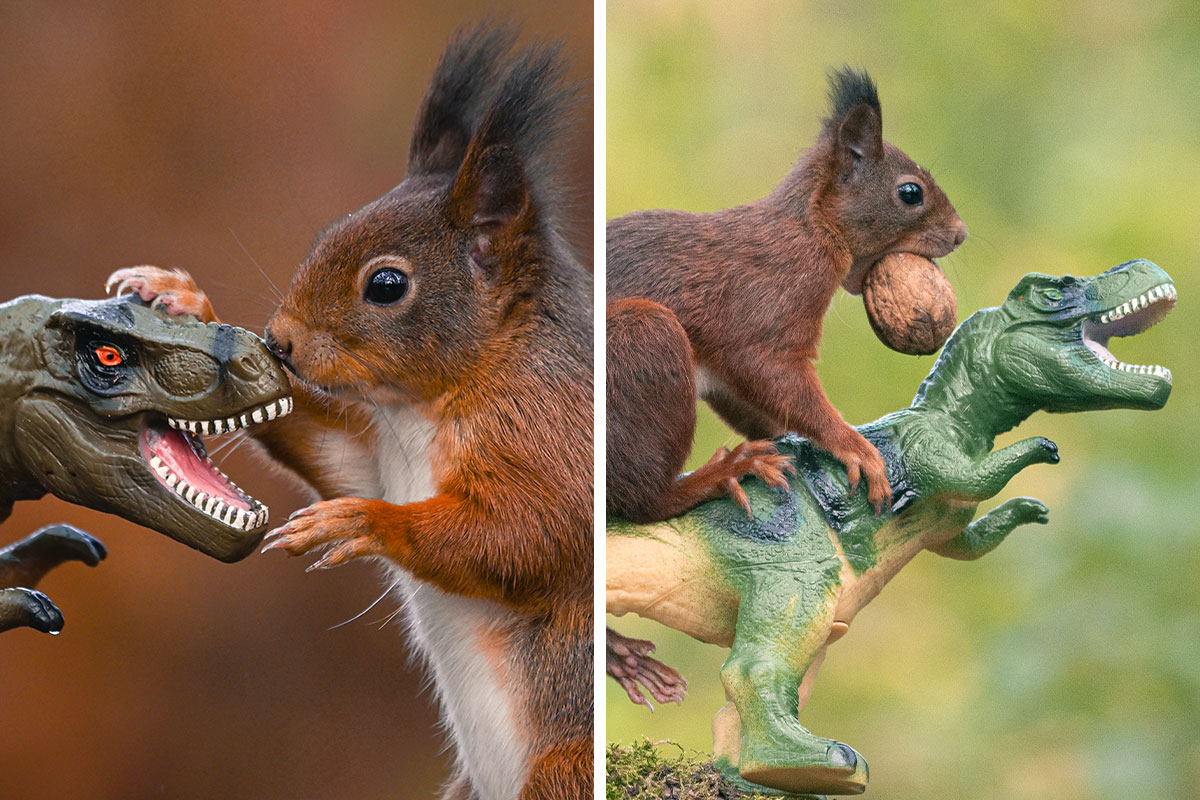 19 Pictures Of Squirrels Interacting With Dinosaurs Taken By Me | Bored ...