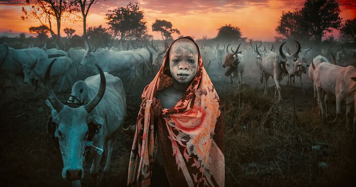 A Burst Of Colors: 25 Captivating Images That Won The 27th Edition Of ...