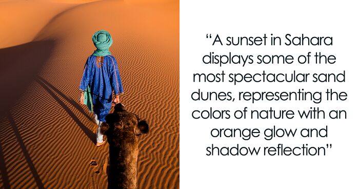 A Burst Of Colors: 25 Captivating Images That Won The 27th Edition Of ...