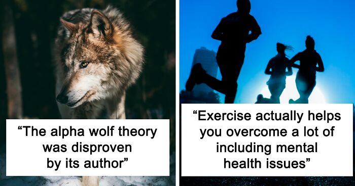 29 Solid Facts That Some People Flat-Out Refuse To Accept | Bored Panda