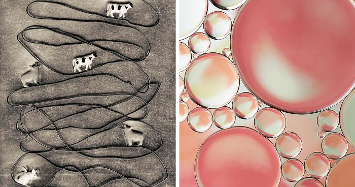 We Have Chosen The Most Beautiful Images Submitted For All About Photo ...