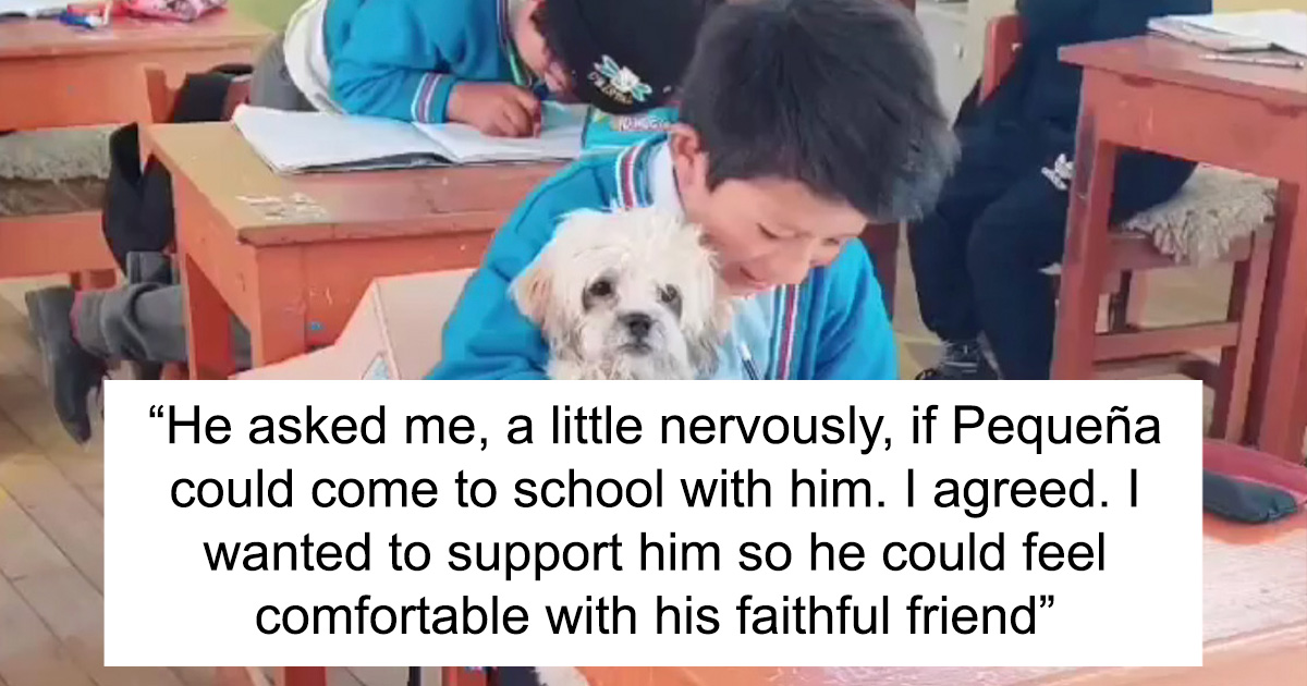 Student Going Through Hardships Asks Teacher If He Can Bring His Dog To ...