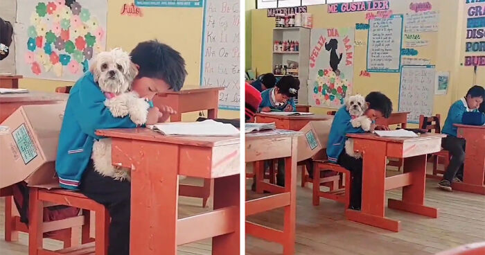 Student Going Through Hardships Asks Teacher If He Can Bring His Dog To ...