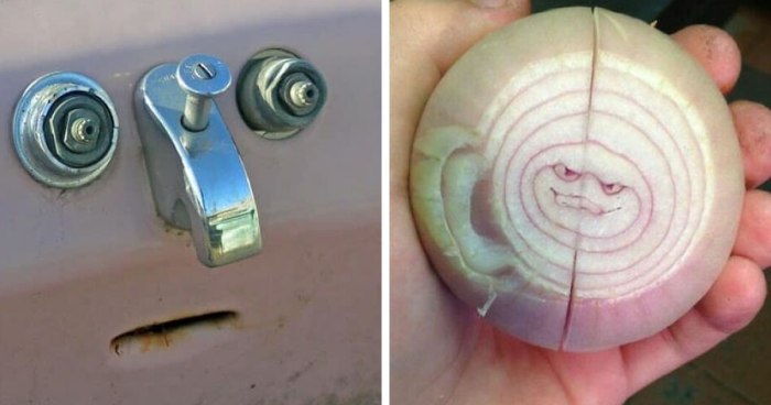 40 Funny Examples Of Regular Objects Suddenly Showing Human ...