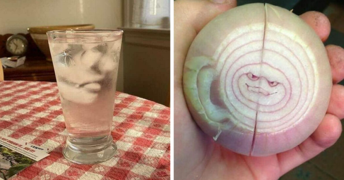 40 Funny Examples Of Regular Objects Suddenly Showing Human ...