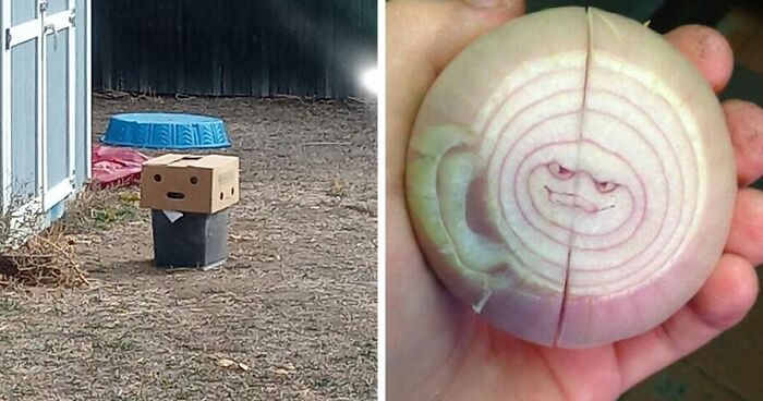 40 Funny Examples Of Regular Objects Suddenly Showing Human ...