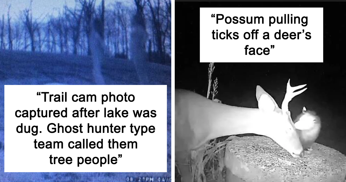 23 Times Trail Cams Captured Moments That Were Not For Our Eyes To See ...