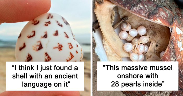 50 Of The Most Interesting Things People Ever Found On The Beach (New ...