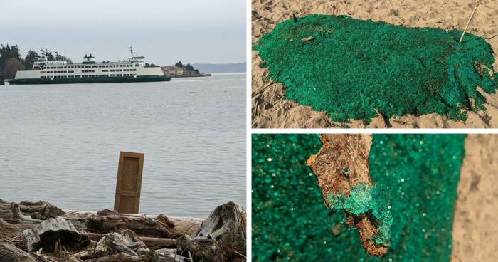 50 Of The Most Interesting Things People Ever Found On The Beach (New ...