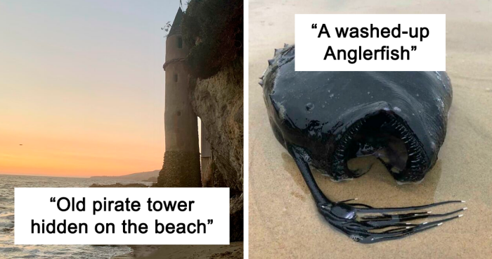 50 Of The Most Interesting Things People Ever Found On The Beach (New ...