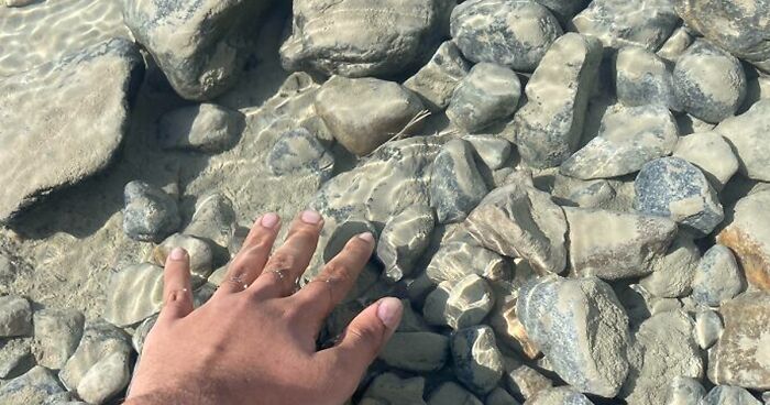 50 Of The Most Interesting Things People Ever Found On The Beach (New ...