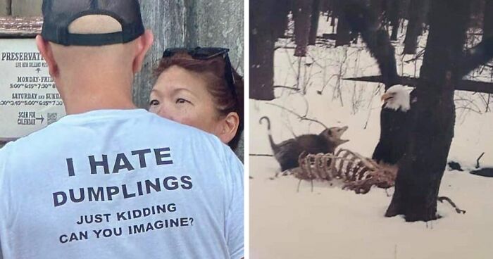 50 Random Pictures You Didn’t Know You Might Find Funny, As Shared On ...