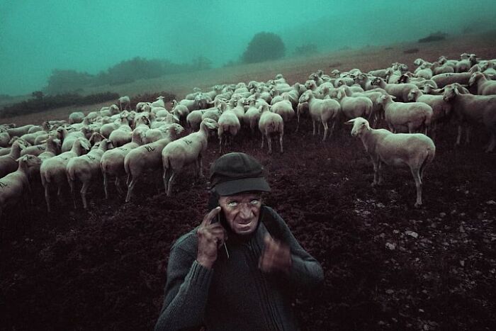 Here Are 50 Of The Most Interesting Images Selected By This Instagram
