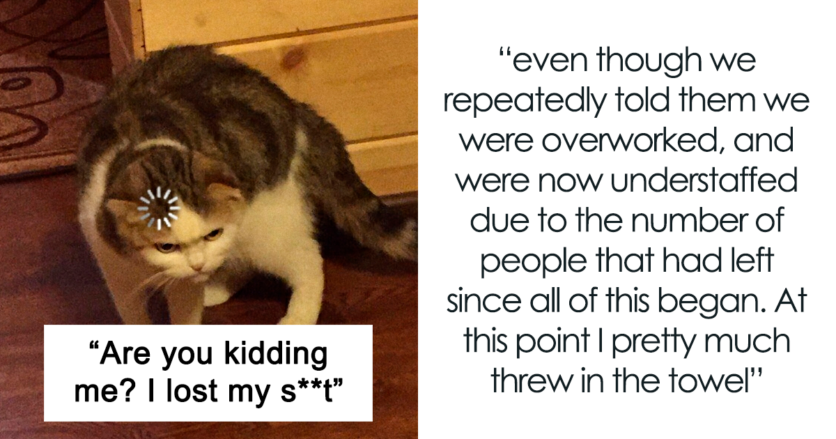 Company Enrages Employee By Asking Them To Reapply To Their Job ...