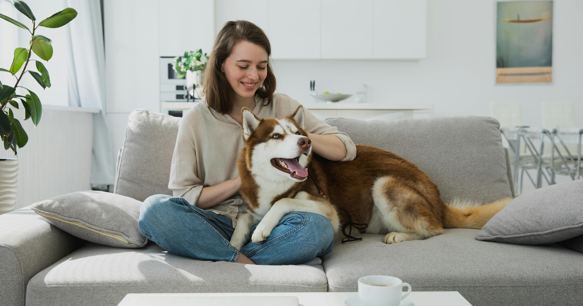 Can Dogs Laugh? Understanding Your Dog’s Sense of Humor | Bored Panda