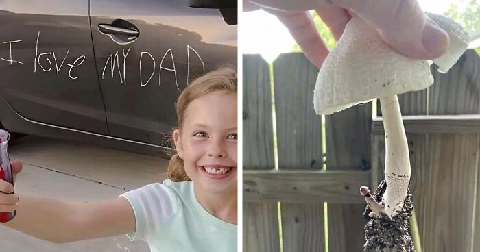 “Pics That Go Hard”: 30 Images That Aren’t For The Fainthearted, As ...