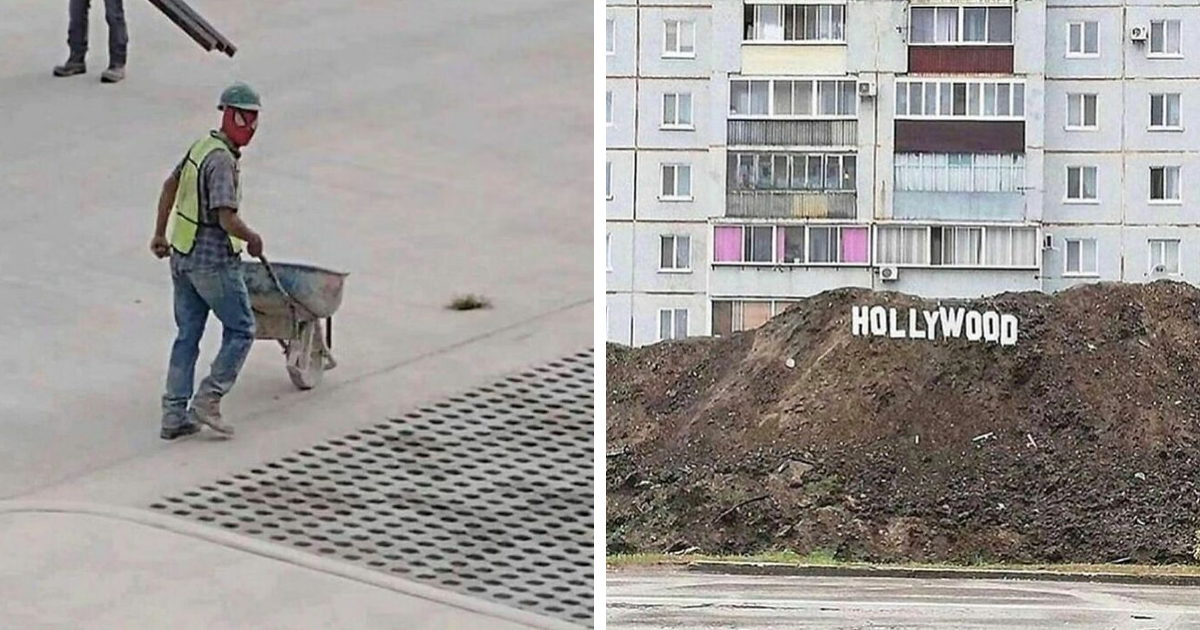 “I Am Cringe, But I Am Free”: 50 Hilarious Yet Confusing Images | Bored ...