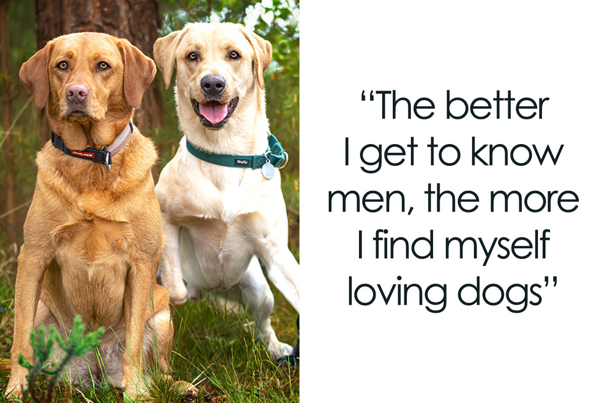 I Created A “Motivational Dog Quotes” Series To Help All Dog Lovers ...
