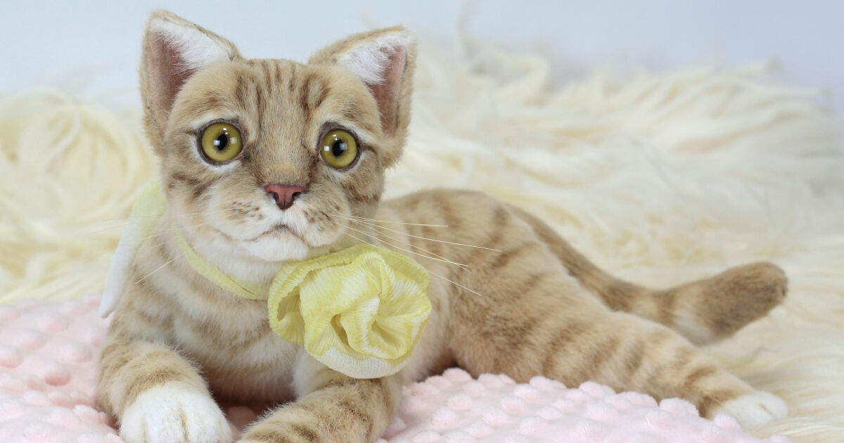 Discover The Magic: My Handcrafted Plush Kitten | Bored Panda