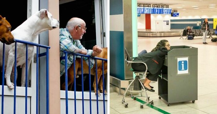 30 Funny Accidental Images That Were Taken At The Right Time And Place ...