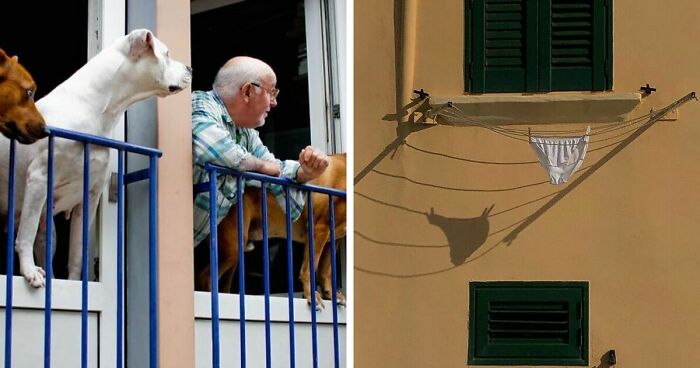 30 Funny Accidental Images That Were Taken At The Right Time And Place ...