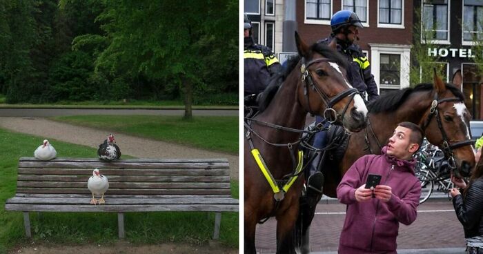 30 Funny Accidental Images That Were Taken At The Right Time And Place ...