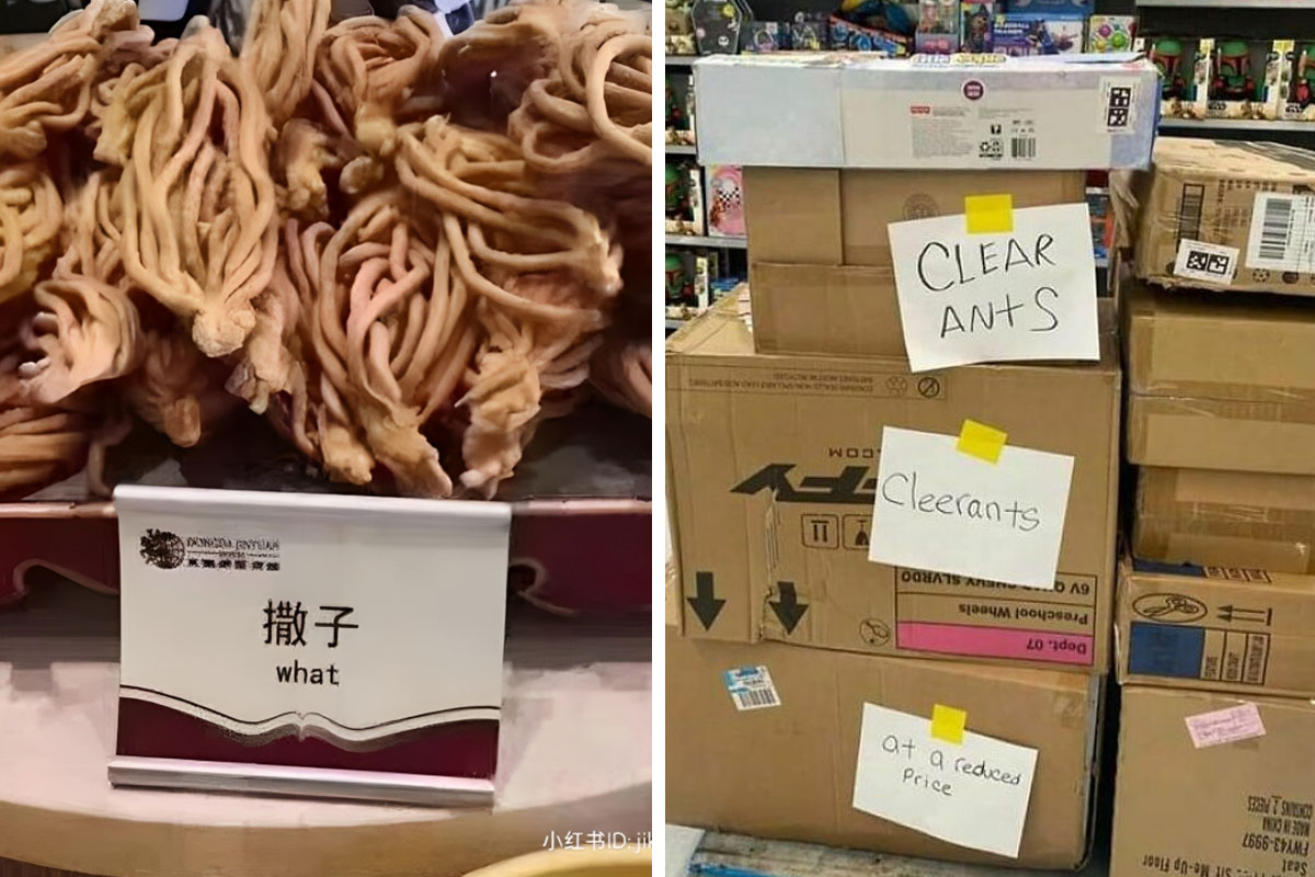 50 English Grammar Mistakes That Are Beyond Hilarious (New Pics) | Bored Panda