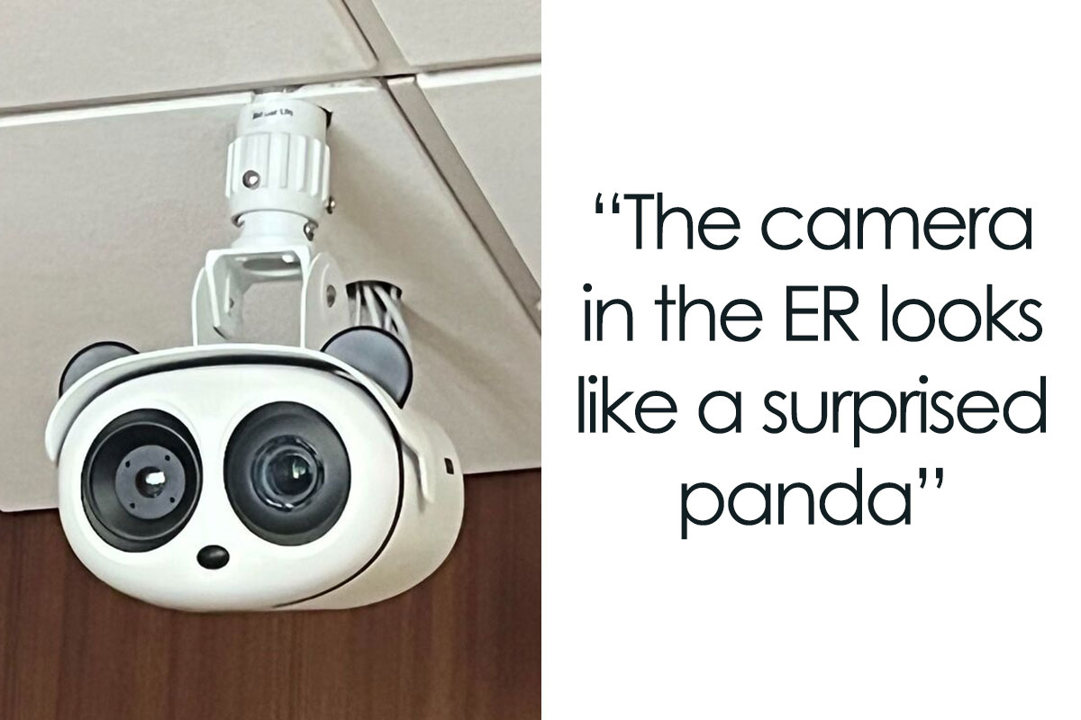 50 Hilarious Examples Of Pareidolia That Prove Our Brains Will Truly ...