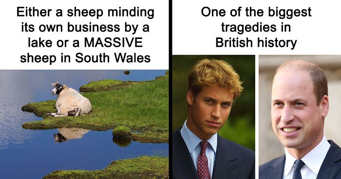 50 Funny British Memes To Crack You Up