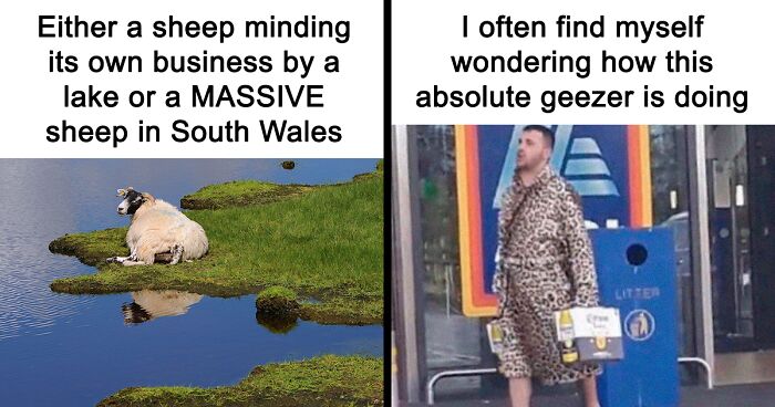 50 Funny British Memes To Crack You Up