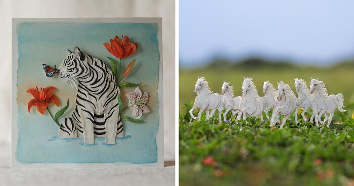 “Rare”: My Collection Of Paper Art To Show The Beauty Of Rare Genetic ...