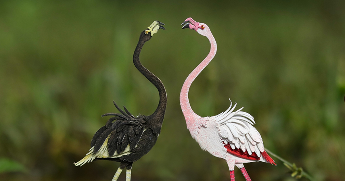 “Rare”: My Collection Of Paper Art To Show The Beauty Of Rare Genetic ...