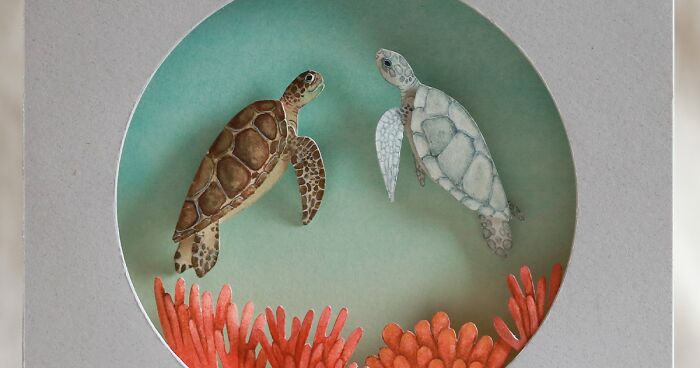 “Rare”: My Collection Of Paper Art To Show The Beauty Of Rare Genetic ...