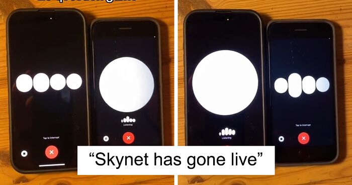 Viral TikTok Of AI Chatbots Playing 20 Questions Game Leaves People ...