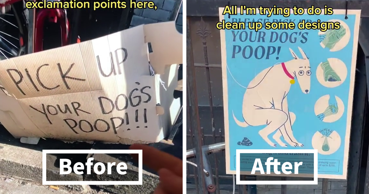 Guy Goes Around NYC Redesigning Fliers For People, Making Them Way More ...