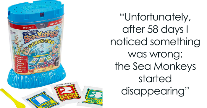 The Dark Truth Behind Childhood Staple Sea Monkeys Emerges Online ...