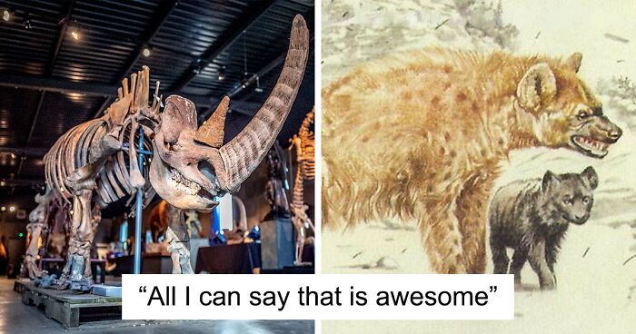 Scientists Bring Wooly Rhinoceros Back To Life With The Help of ...