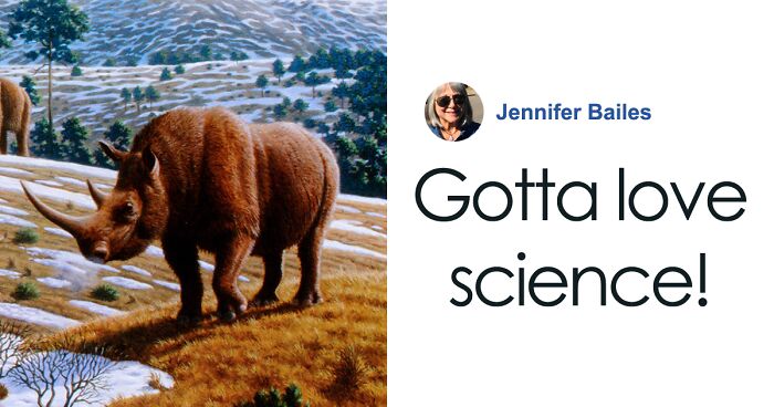Scientists Bring Wooly Rhinoceros Back To Life With The Help of ...