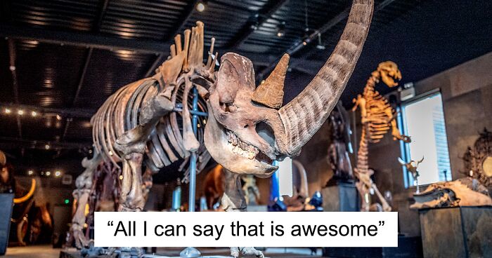 Scientists Bring Wooly Rhinoceros Back To Life With The Help of ...