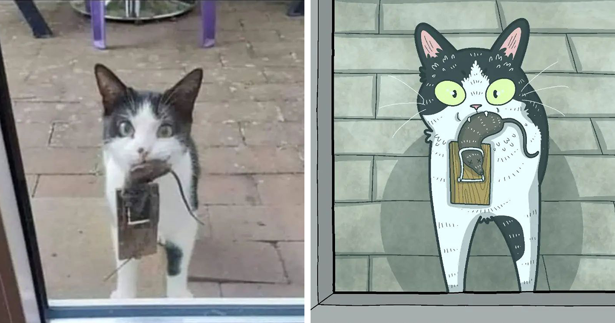 35 Already Famous Internet Pics Get Transformed Into Even Funnier ...