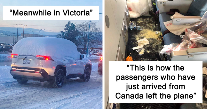 “And I Thought I Was Lazy”: 50 People Who Took Laziness To Infuriating ...