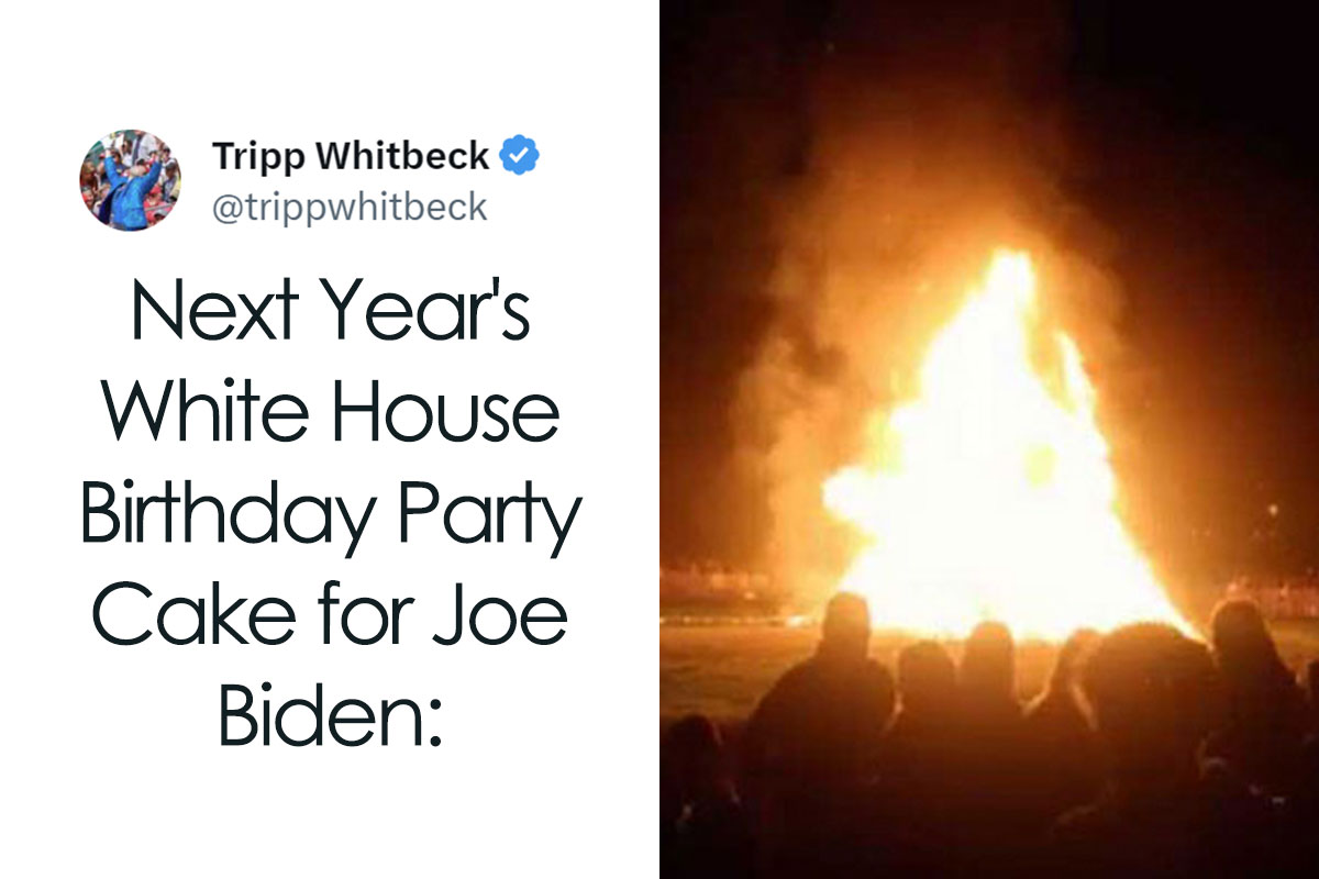 Joe Biden’s 81st B-Day Photo Becomes An Endless Source Of Inspiration ...